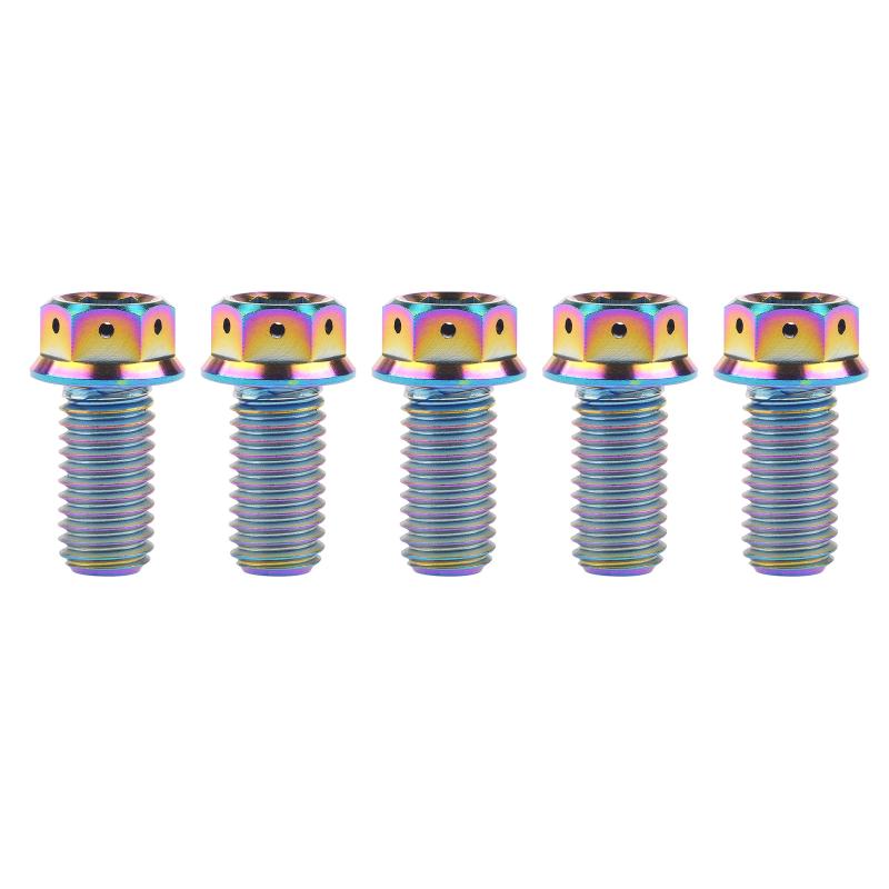 Ruifuチタン合金フランジヘッド六角穴付ボルトM10 20 25 30 35 40 45 50 55 60 65 70 75 80 85 90mm 二輪車用改造ネジ5個材質：6AL / 4V（TC4）チタン合金フランジヘッド直径：16mm...