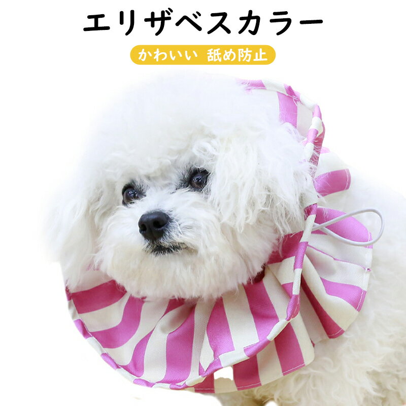 商品番号 f20250825-1 サイズ詳細 素材 - カラー ピンク ご注意点 商品画像はできる限り実物を再現するよう心掛けておりますが、ご利用のモニターや環境等により、実際の色見と異なる場合がございます。 関連キーワード当店人気商品 見...