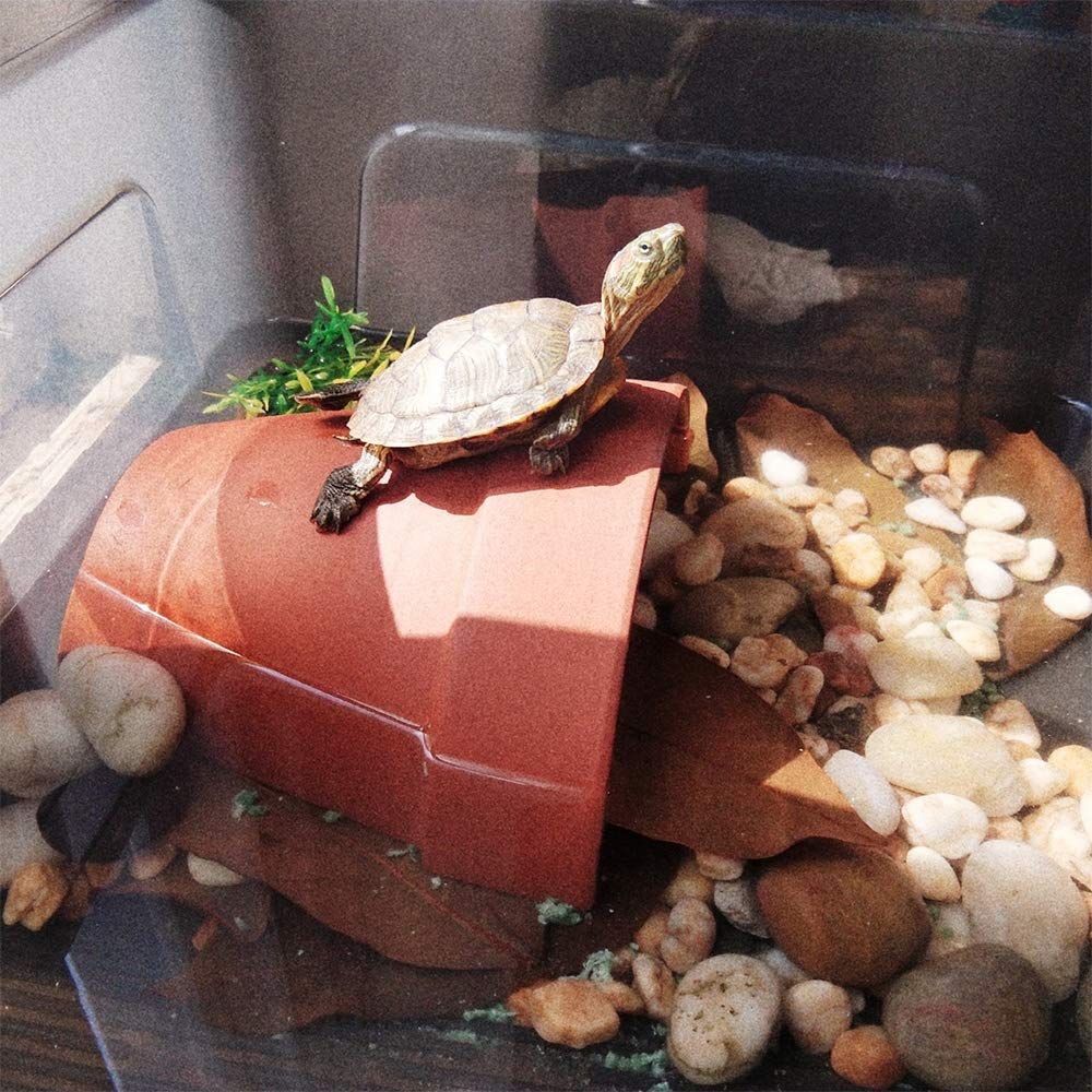 無害な素材：この爬虫類の隠れた生息地は、水族館のペットや植物に害を及ぼさない、環境に配慮した無毒の赤泥陶器粘土でできています。上にあがれば日向ぼっこもでき飼育している生き物の好きなように動くことができます。運動不足、ストレス解消もできますの...