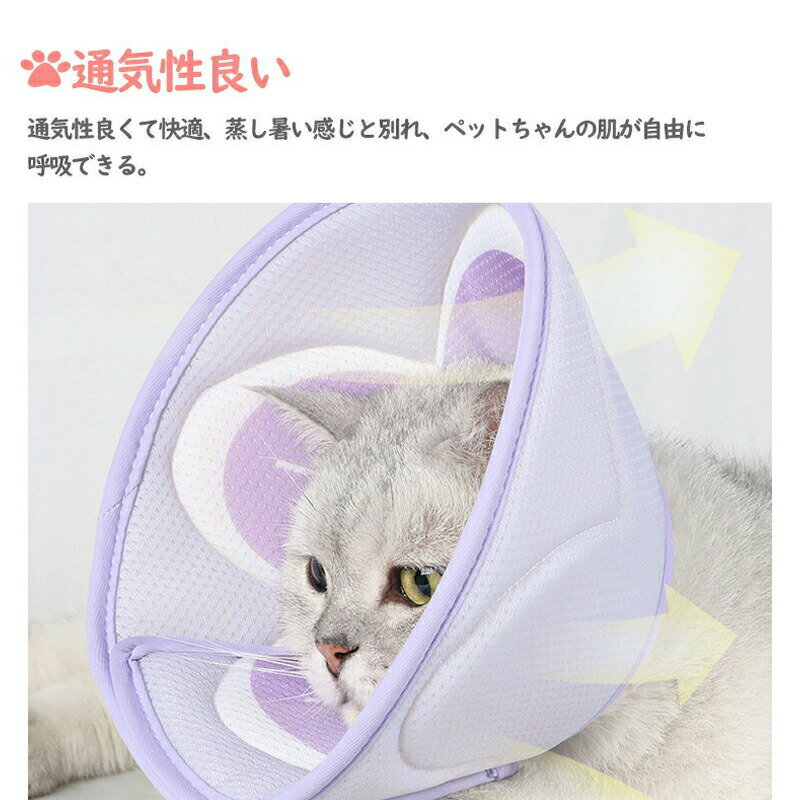 エリザベスカラーの重要性ペットの皮膚病、美容、傷、かゆみ、赤みや手術回復などの過程で、舐めたり、噛んだりする行為に対して保護することができます。手術後、患部を舐めたり縫合してある糸を歯でかみきらないようにするため皮膚病などで患部を舐めて悪化...