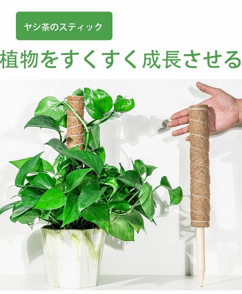 商品の説明ココスティック モンステラ 支柱 おしゃれ 植物 支柱 ポトス 支柱 高さ調整可能 頑丈 耐久 ココナッツ 園芸支柱 ポトス 植物支柱 花ささえ 連結 延長 木製 ココナッツ支柱 支え ガーデニング用支柱 観葉支柱 植物サポート素...