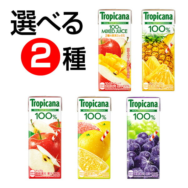 ＜ご注意1＞ パッケージは予告なく変更する場合がございます。＜ご注意2＞商品の中身を守るため、外箱（ダンボール）に入れてお届けしておりますが、商品自体に重量があるため、外箱が潰れる場合がありますので予めご了承ください。 ＜沖縄・離島の運賃に...
