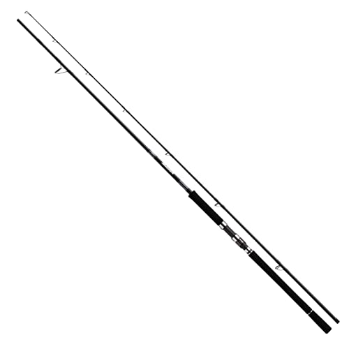 100H(ジグwt:40-110g)ブラック/100H/05800114・Style:100H(ジグwt:40-110g)・ハイパワーなのに疲れにくく、トラブルレスなショアジギングのエントリーロッド・【自重(g)】: 307【全長(m)】：...