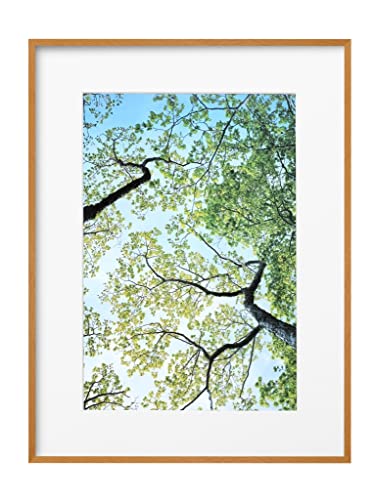 単品ナチュラル/A3ノビ(G-01)/FZG01-A3NNT・Size:A3ノビ(G-01)Style:単品Color:ナチュラル・パッケージ個数:1・軽くて割れないZEROフレーム。 前面板はガラスを使っていないので従来の額縁より軽くて割...