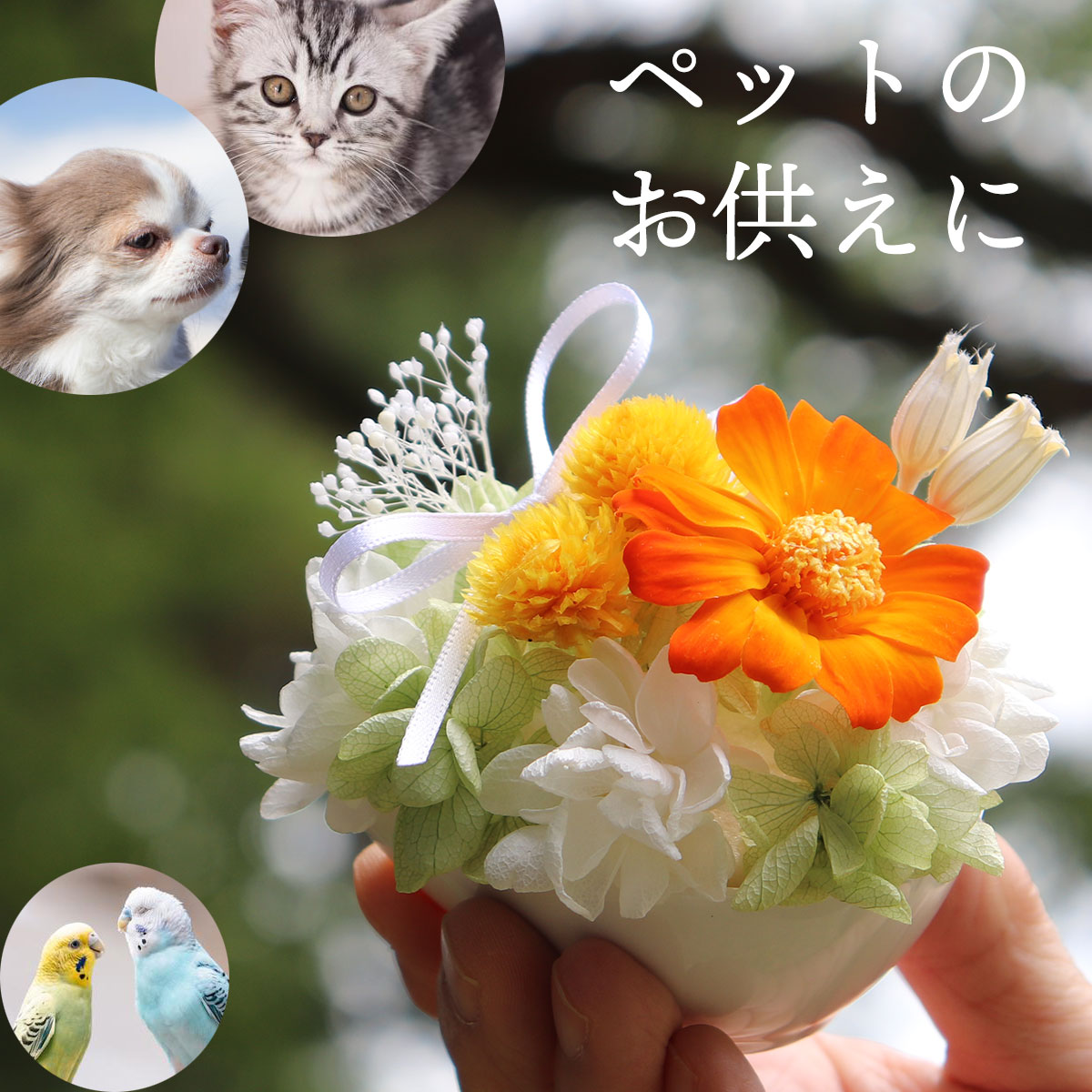 手のひらサイズの白い陶器に、やさしい色合いのプリザーブドフラワーをアレンジした、現代仏壇にぴったりのミニ仏花シリーズです。 水替え不要で長く美しさを保ち、ペットのお供えにも自然に寄り添います。 小さなスペースにも飾りやすく、写真立てや遺影の...