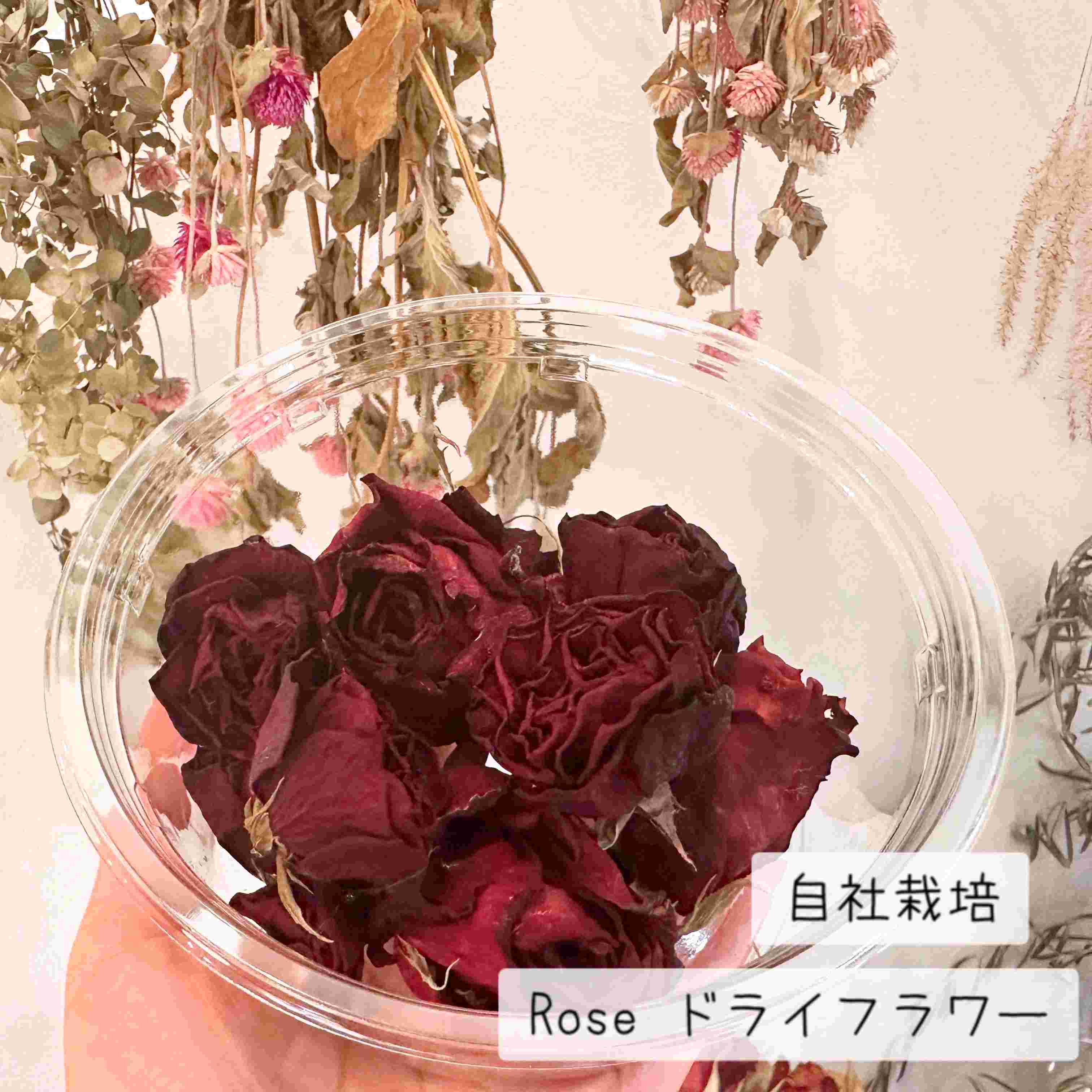 商品情報サイズ材質ドライフラワー、バラ　ヘッド色レッド商品説明アロマワックスバーや、ハーバリウムなどの作品作りにもご活用頂けます。ご使用用途リース ハンドメイド ハーバリウム ワックスバー アクセサリー 花材 ドライフラワー 記念日 合格祝...