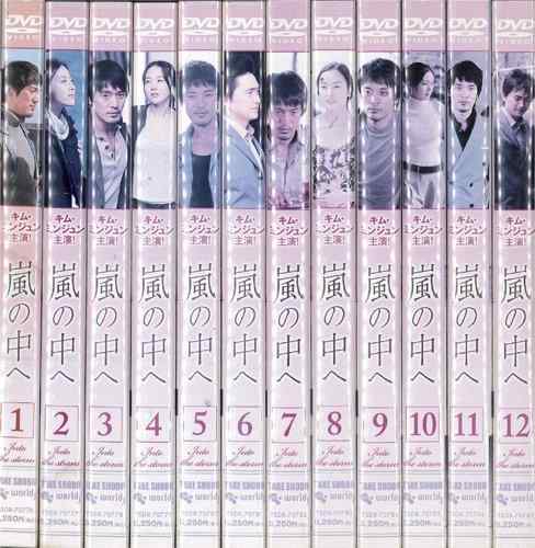 キム・ミンジュン主演 嵐の中へ[レンタル落ち]：12巻セット■ ご購入前に必ずご確認ください ■1. 在庫管理とご注文の確定当店は複数のオンラインモールで在庫を共有しております。在庫の変動： 更新のタイムラグにより、ご注文後に「完売」が判明...