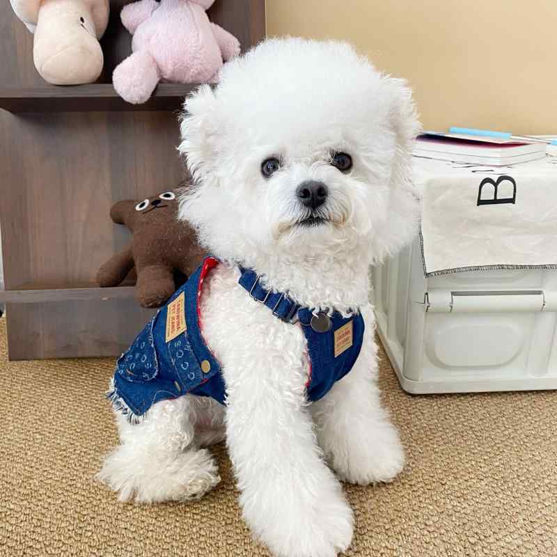 ドッグウェア 小型犬 春夏 ベスト 薄手 デニム 牽引可能 ペット服 犬 ビションフリーゼ テディ 防汚 防毛 開閉式