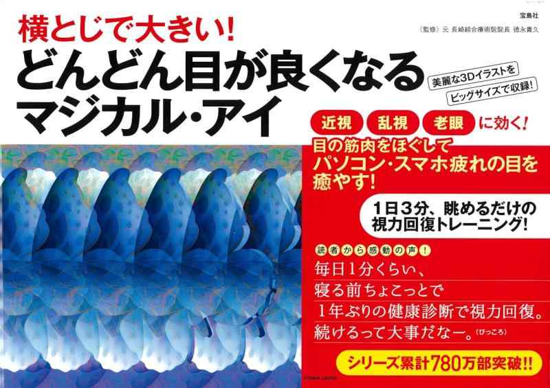 横とじで大きい どんどん目が良くなるマジカル・アイ