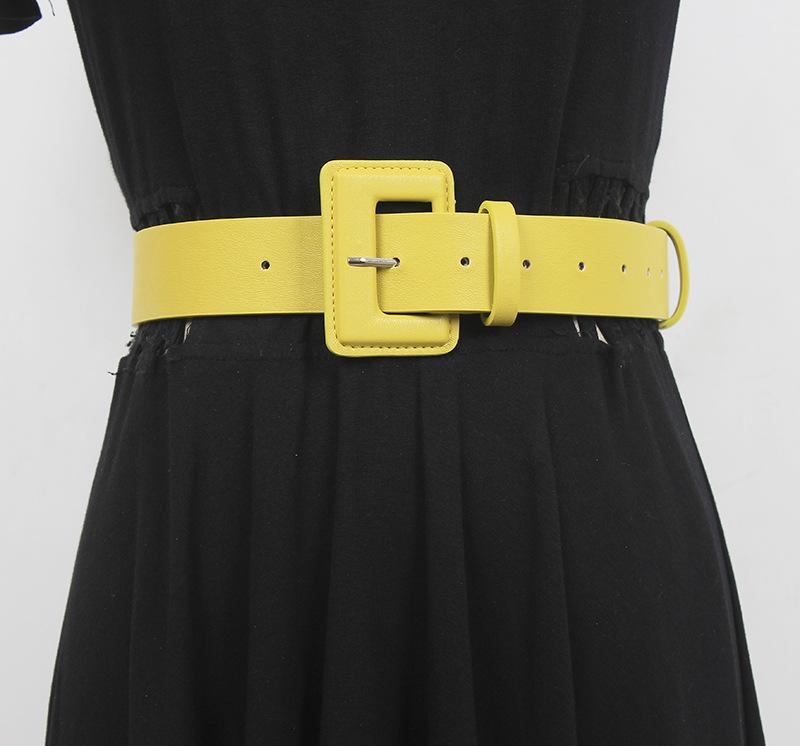 ベルト レディース 幅広 パープル 韓国風 イエロー ピンク ベルト ファッション おしゃれ 普段使い ワンピース セーター ウエストマーク・素材: 仿皮・カラー: ブラック, 棕色, 驼色, 杏色, 蛋黄色, 浅灰色, 浅棕色, 橄榄绿