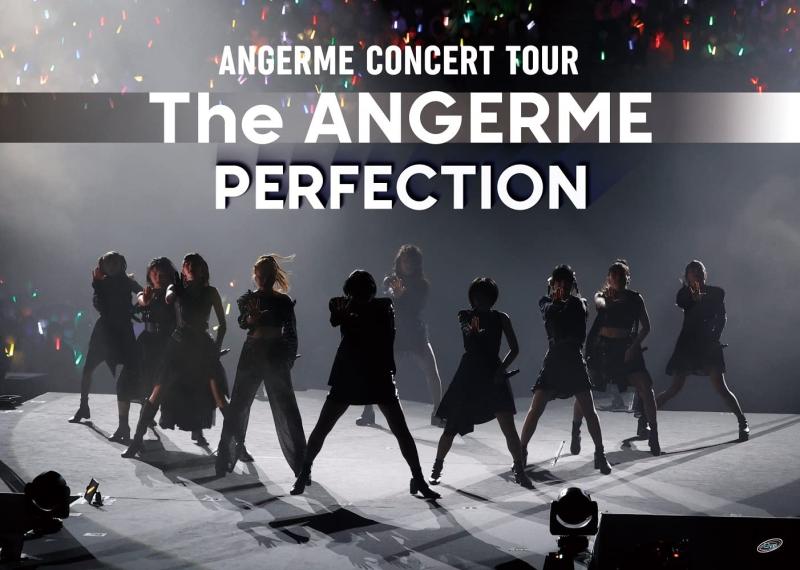 アンジュルム CONCERT TOUR -The ANGERME- PERFECTION(特典なし) [DVD]DVD