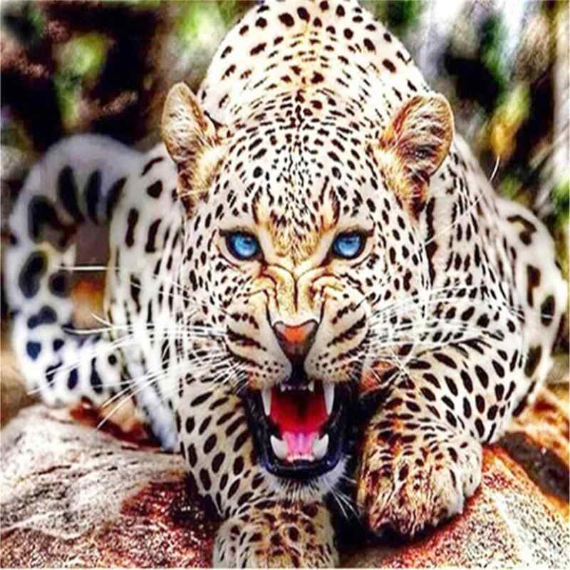 E.G.POWER 2019 ～POWER to the DOME～(DVD3枚組)(通常盤）