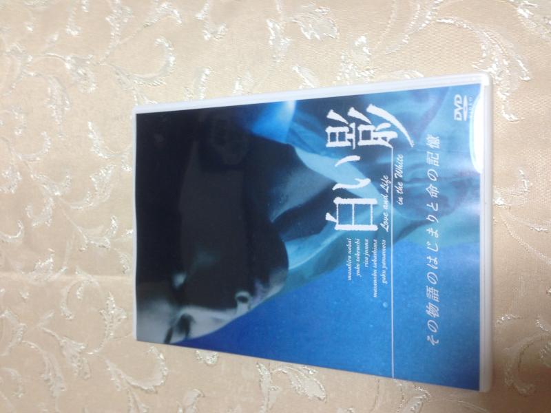 白い影 その物語のはじまりと命の記憶