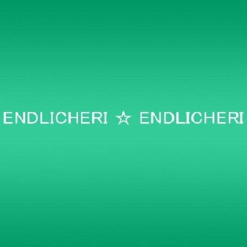 胸宇宙 ENDLICHERI ENDLICHERI Documentary (期間生産) [DVD]