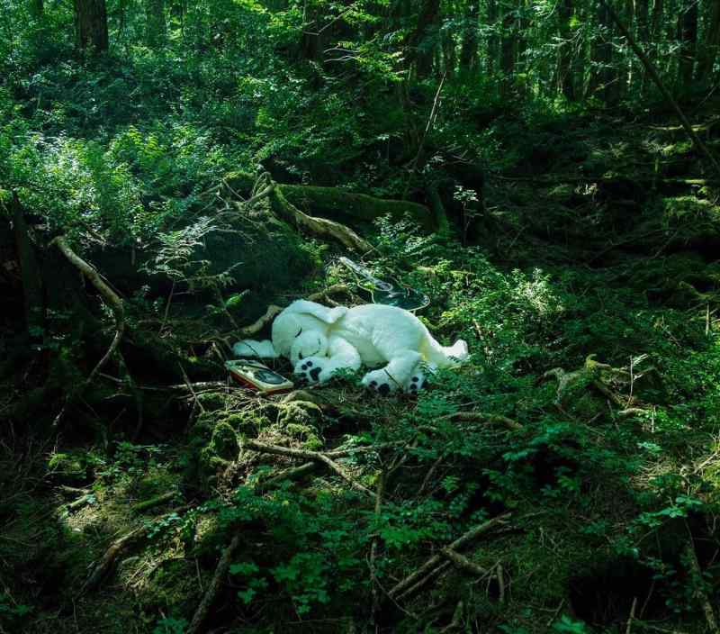 slumbers -Deluxe Edition(CD +オマケ)-