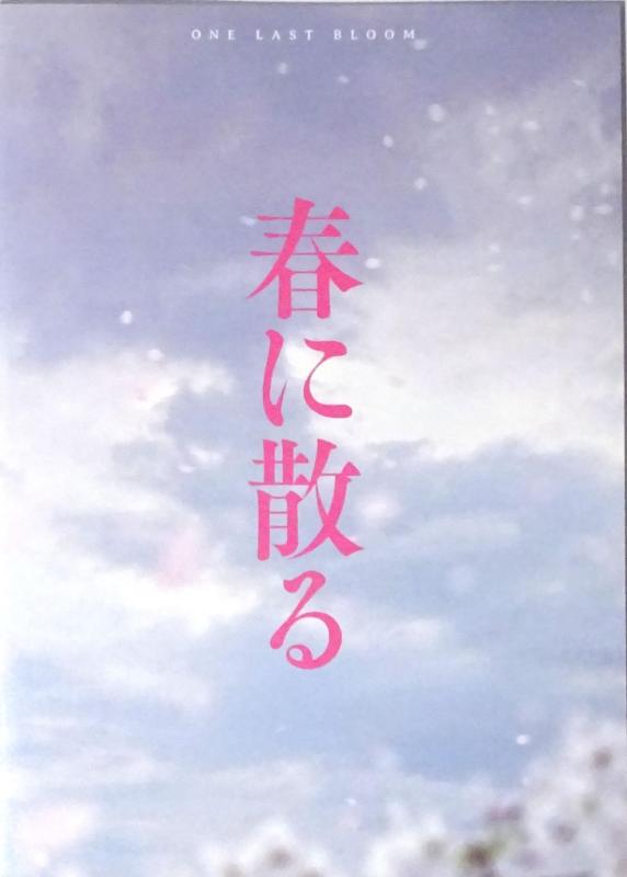 【映画パンフレット】春に散る 監督 瀬々敬久 出演 佐藤浩市、横浜流星、橋本環奈B5サイズ