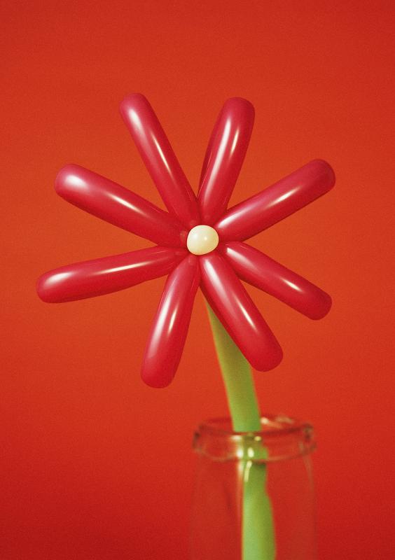 MACAROCK'N LIVE-1 (通常盤) (DVD) [DVD]TFBQ-18256