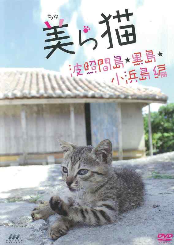 美ら猫(ちゅら猫)竹富島編 [DVD]
