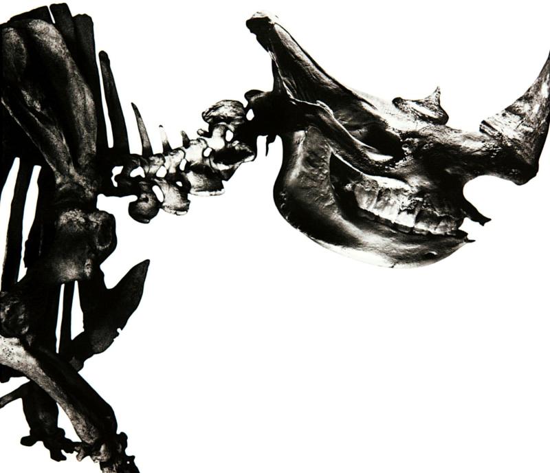 Mr.Children 1996-2000