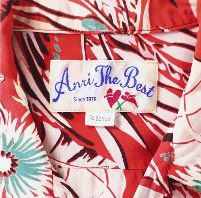 ANRI the BEST - 杏里