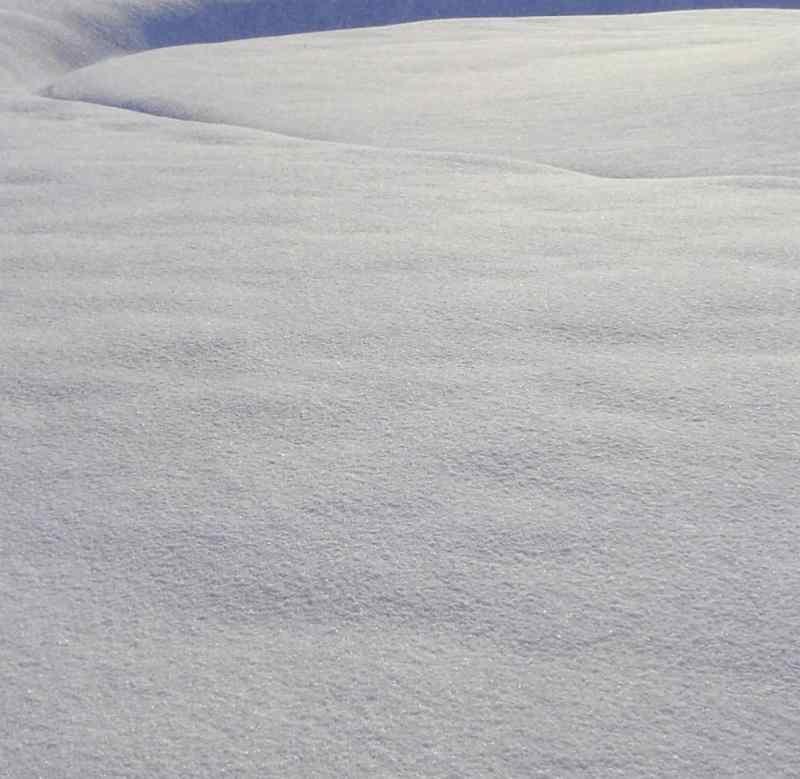 Landed - Laika Came Back