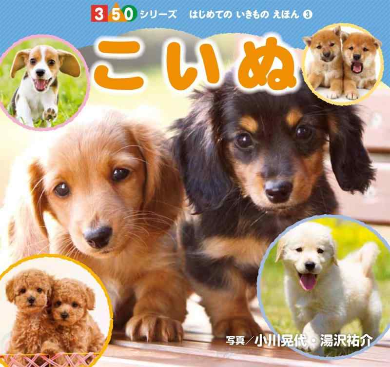 こいぬ (350シリーズはじめてのいきものえほん 3)■ ご購入前に必ずご確認ください ■1. 在庫管理とご注文の確定当店は複数のオンラインモールで在庫を共有しております。在庫の変動： 更新のタイムラグにより、ご注文後に「完売」が判明する場...