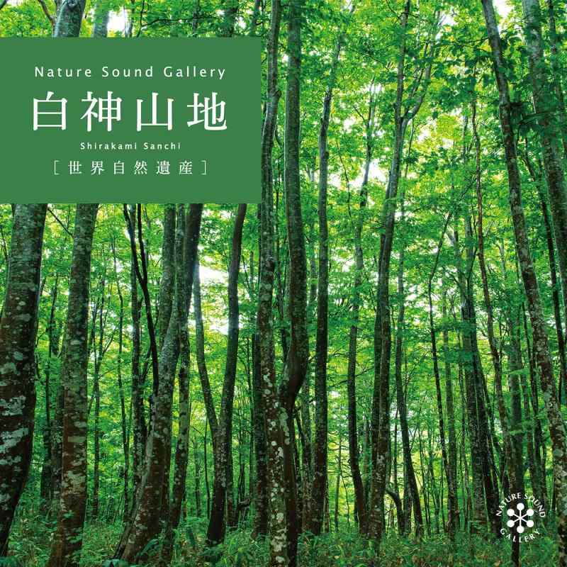 白神山地 ヒーリング CD BGM 音楽 癒し ミュージック カッコウ ウグイス ホトトギス エナガ 自然音 せせらぎ 朝 目覚まし 森 高原 野鳥 自律神経 朝に聴きたい音楽 さわやかな朝に聴く音楽 森●このシリーズは、自然音のみで構成さ...