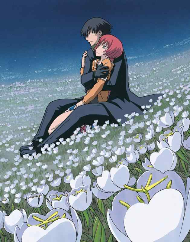 DARKER THAN BLACK -流星の双子- 8 [Blu-ray]