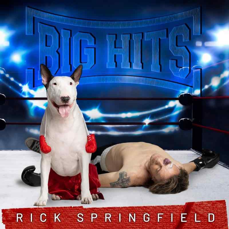 Big Hits: Rick Springfield's Greatest Hits, Vol. 2