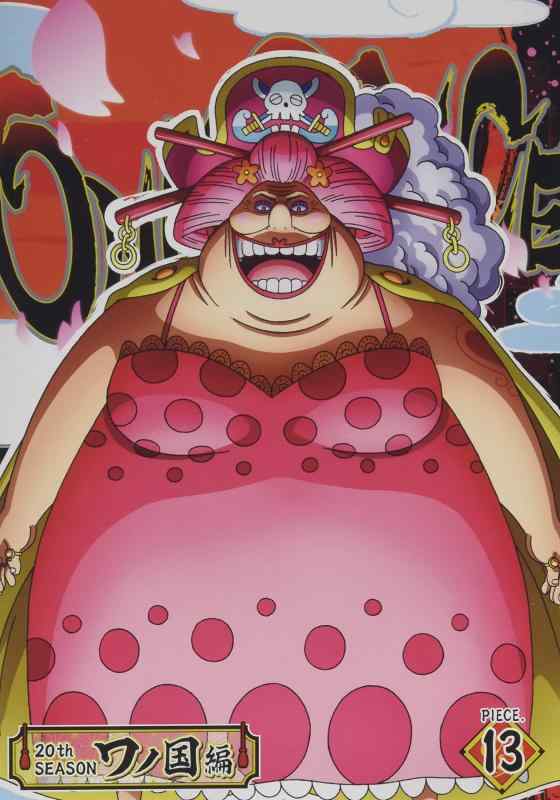 ONE PIECE ワンピース 20THシーズン ワノ国編 piece.13 DVD