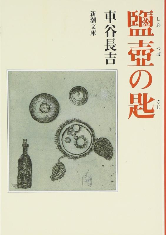 鹽壺の匙 (新潮文庫)