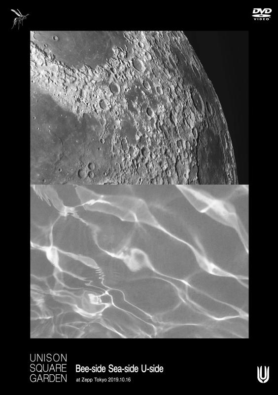 UNISON SQUARE GARDEN「Bee-side Sea-side U-side」at Zepp Tokyo 2019.10.16 (DVD盤[DVD + 2 LIVE CD])