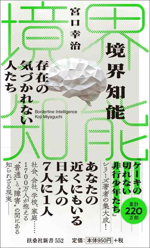 境界知能 存在の気づかれない人たち (新書)