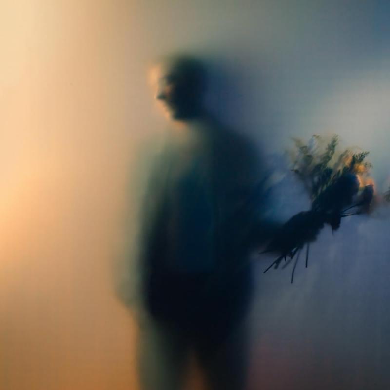 Bloom [国内流通仕様盤CD / 解説書付] (BRZN302)CD