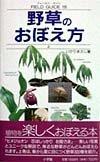 フィールド・ガイドシリーズ18 野草のおぼえ方 上 (小学館のフィールド・ガイドシリーズ 18)