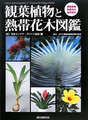 観葉植物と熱帯花木図鑑: 観葉植物 熱帯花木 熱帯果実availability■ ご購入前に必ずご確認ください ■1. 在庫管理とご注文の確定当店は複数のオンラインモールで在庫を共有しております。在庫の変動： 更新のタイムラグにより、ご注文...
