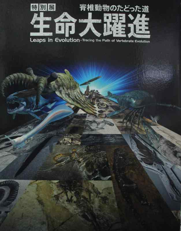 特別展生命大躍進 : 脊椎動物のたどった道 : Leaps in Evolution : tracing the path of vertebrate evolution NHK