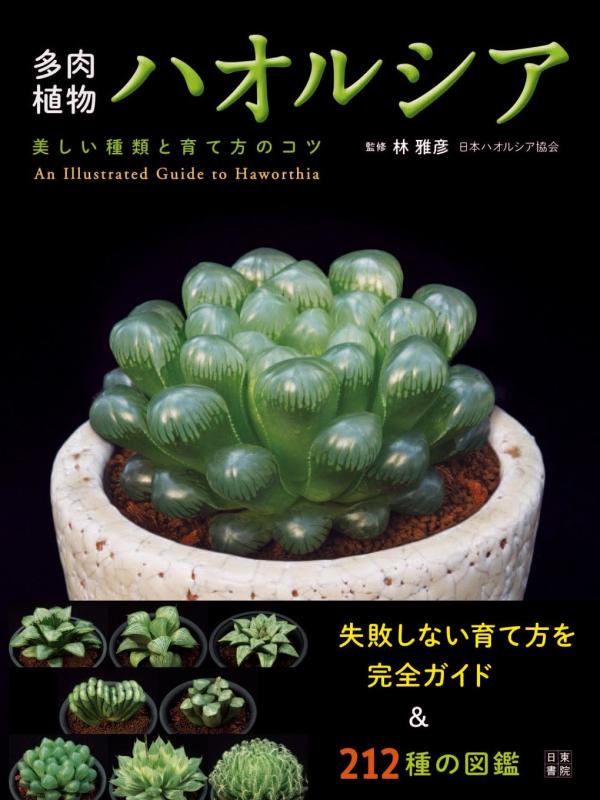 多肉植物ハオルシア 美しい種類と育て方のコツ■ ご購入前に必ずご確認ください ■1. 在庫管理とご注文の確定当店は複数のオンラインモールで在庫を共有しております。在庫の変動： 更新のタイムラグにより、ご注文後に「完売」が判明する場合がござい...