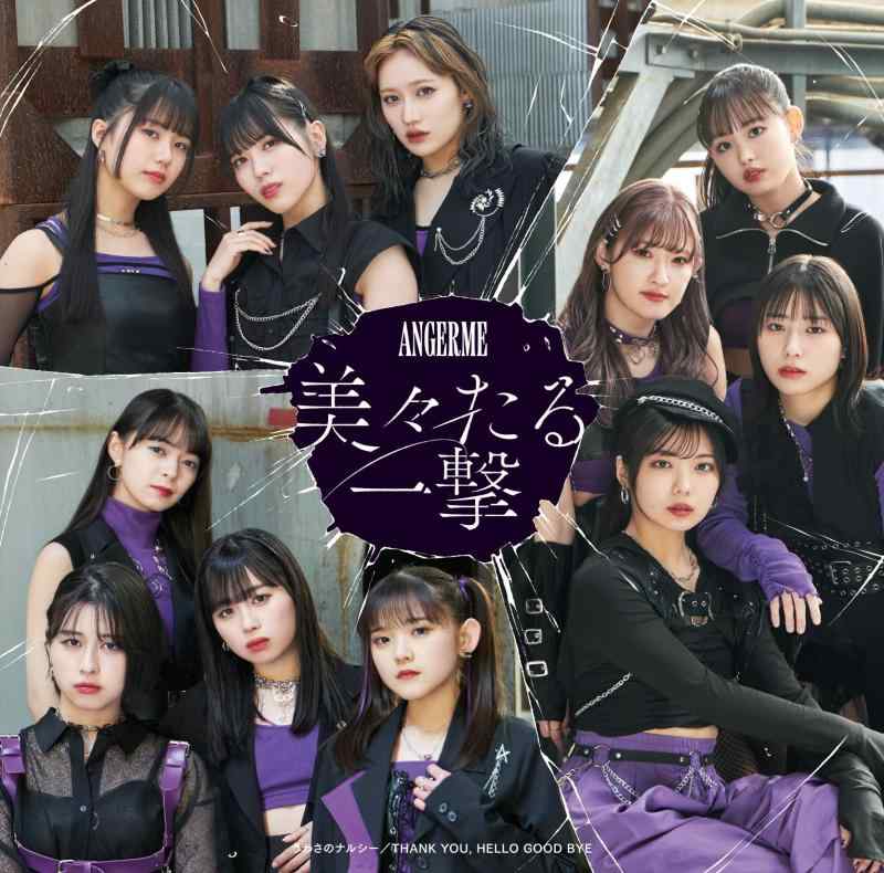 美々たる一撃/うわさのナルシー/THANK YOU，HELLO GOOD BYE 初回生産盤 A - アンジュルム (特典なし)CD■ ご購入前に必ずご確認ください ■1. 在庫管理とご注文の確定当店は複数のオンラインモールで在庫を共有して...