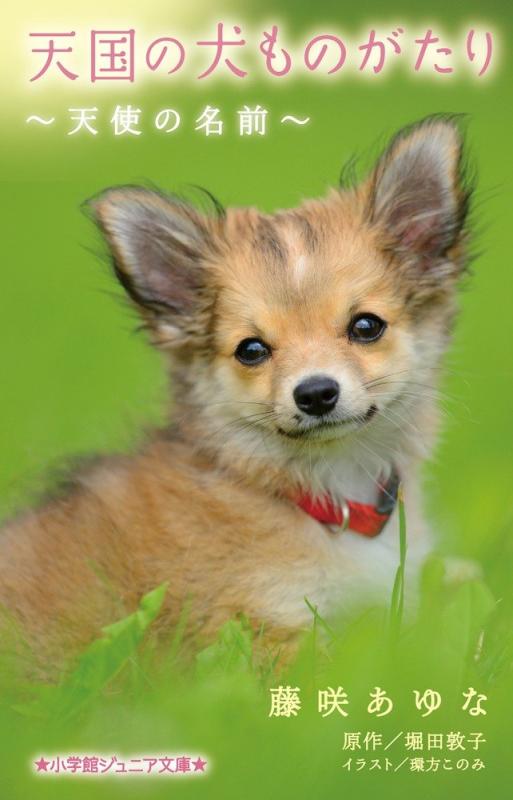 天国の犬ものがたり~天使の名前~ (小学館ジュニア文庫 ほ 1-6)■ ご購入前に必ずご確認ください ■1. 在庫管理とご注文の確定当店は複数のオンラインモールで在庫を共有しております。在庫の変動： 更新のタイムラグにより、ご注文後に「完売...