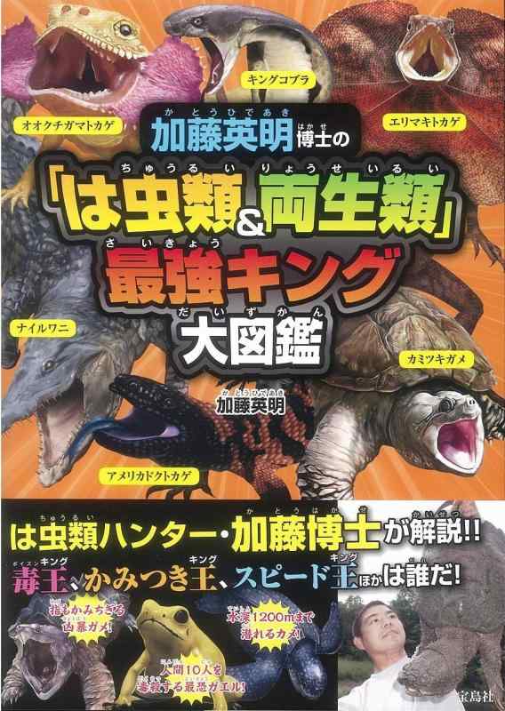 加藤英明博士の「は虫類&amp;両生類」最強キング大図鑑■ ご購入前に必ずご確認ください ■1. 在庫管理とご注文の確定当店は複数のオンラインモールで在庫を共有しております。在庫の変動： 更新のタイムラグにより、ご注文後に「完売」が判明する...