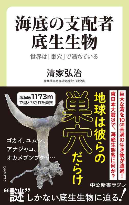 海底の支配者 底生生物-世界は「巣穴」で満ちている (中公新書ラクレ (676))■ ご購入前に必ずご確認ください ■1. 在庫管理とご注文の確定当店は複数のオンラインモールで在庫を共有しております。在庫の変動： 更新のタイムラグにより、ご...