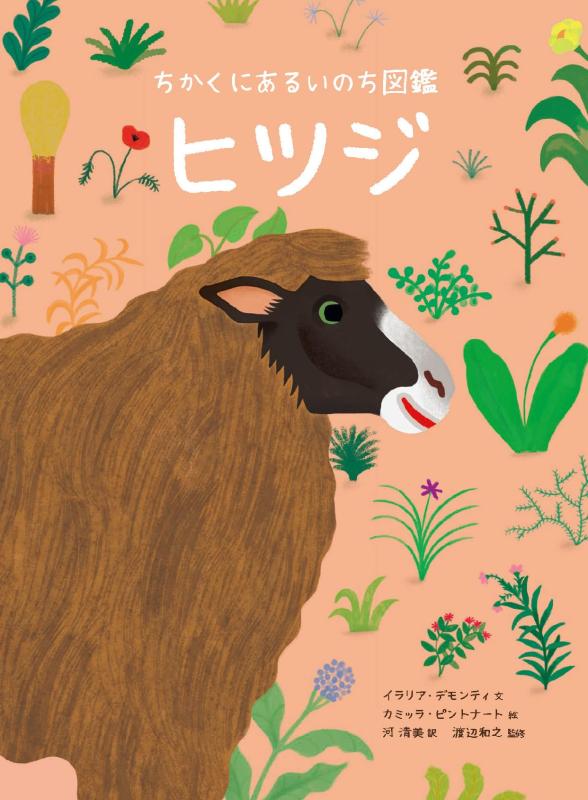 ちかくにあるいのち図鑑　ヒツジ■ ご購入前に必ずご確認ください ■1. 在庫管理とご注文の確定当店は複数のオンラインモールで在庫を共有しております。在庫の変動： 更新のタイムラグにより、ご注文後に「完売」が判明する場合がございます。欠品時の...