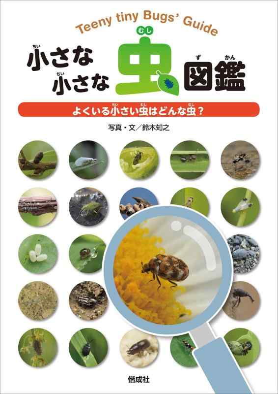 小さな小さな虫図鑑■ ご購入前に必ずご確認ください ■1. 在庫管理とご注文の確定当店は複数のオンラインモールで在庫を共有しております。在庫の変動： 更新のタイムラグにより、ご注文後に「完売」が判明する場合がございます。欠品時の対応： 万が...