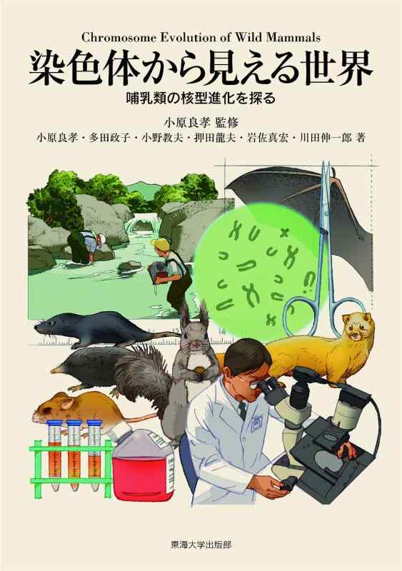染色体から見える世界: 哺乳類の核型進化を探る■ ご購入前に必ずご確認ください ■1. 在庫管理とご注文の確定当店は複数のオンラインモールで在庫を共有しております。在庫の変動： 更新のタイムラグにより、ご注文後に「完売」が判明する場合がござ...