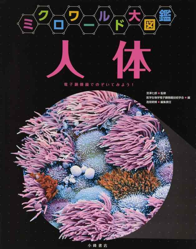 人体(ミクロワールド大図鑑)■ ご購入前に必ずご確認ください ■1. 在庫管理とご注文の確定当店は複数のオンラインモールで在庫を共有しております。在庫の変動： 更新のタイムラグにより、ご注文後に「完売」が判明する場合がございます。欠品時の対...