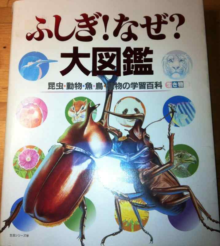 ふしぎなぜ大図鑑 生き物編: 昆虫・動物・魚・鳥・植物の学習百科 (主婦と生活生活シリーズ 150)■ ご購入前に必ずご確認ください ■1. 在庫管理とご注文の確定当店は複数のオンラインモールで在庫を共有しております。在庫の変動： 更新のタ...