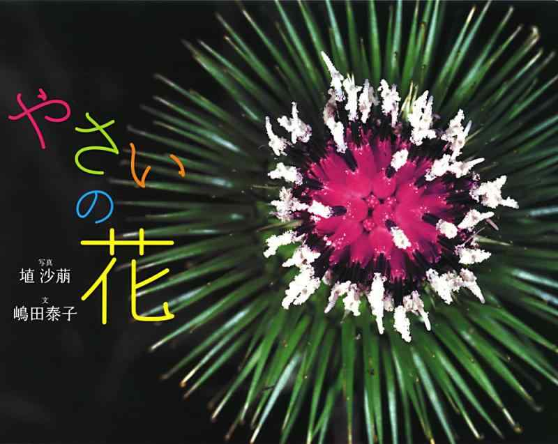 やさいの花 (ふしぎいっぱい写真絵本 29)■ ご購入前に必ずご確認ください ■1. 在庫管理とご注文の確定当店は複数のオンラインモールで在庫を共有しております。在庫の変動： 更新のタイムラグにより、ご注文後に「完売」が判明する場合がござい...