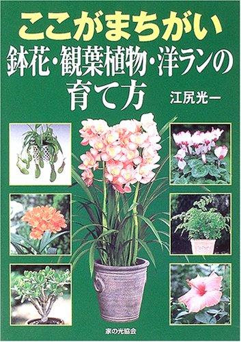 ここがまちがい鉢花・観葉植物・洋ランの育て方■ ご購入前に必ずご確認ください ■1. 在庫管理とご注文の確定当店は複数のオンラインモールで在庫を共有しております。在庫の変動： 更新のタイムラグにより、ご注文後に「完売」が判明する場合がござい...