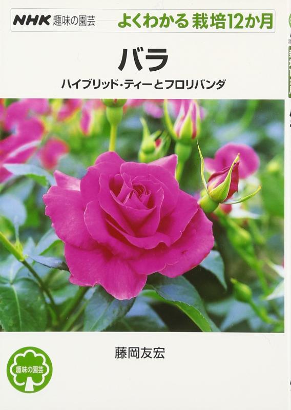 バラ ハイブリッド・ティーとフロリバンダ (NHK趣味の園芸 よくわかる栽培12か月)■ ご購入前に必ずご確認ください ■1. 在庫管理とご注文の確定当店は複数のオンラインモールで在庫を共有しております。在庫の変動： 更新のタイムラグにより...
